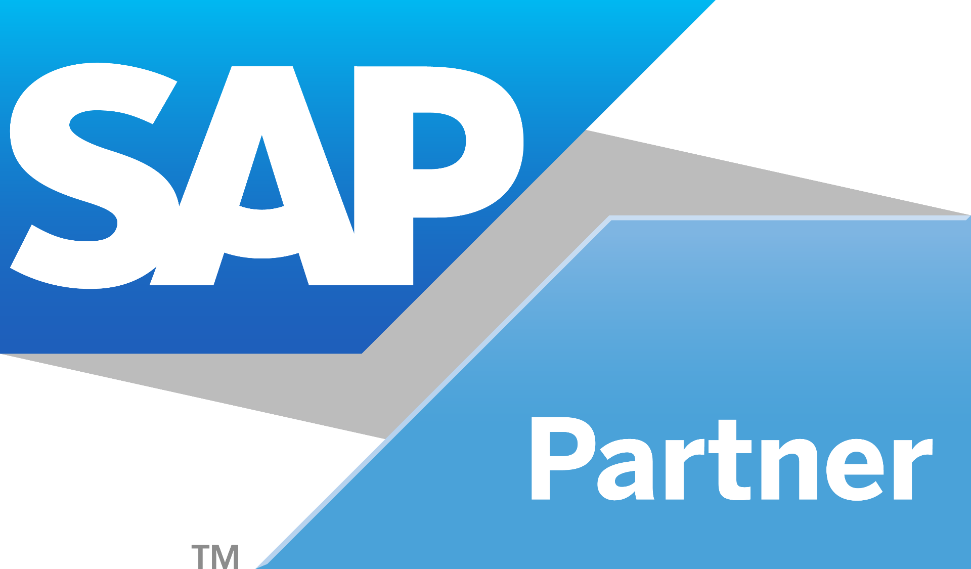Technology & Consulting Partners – Databricks, Snowflake, AWS, SAP ...